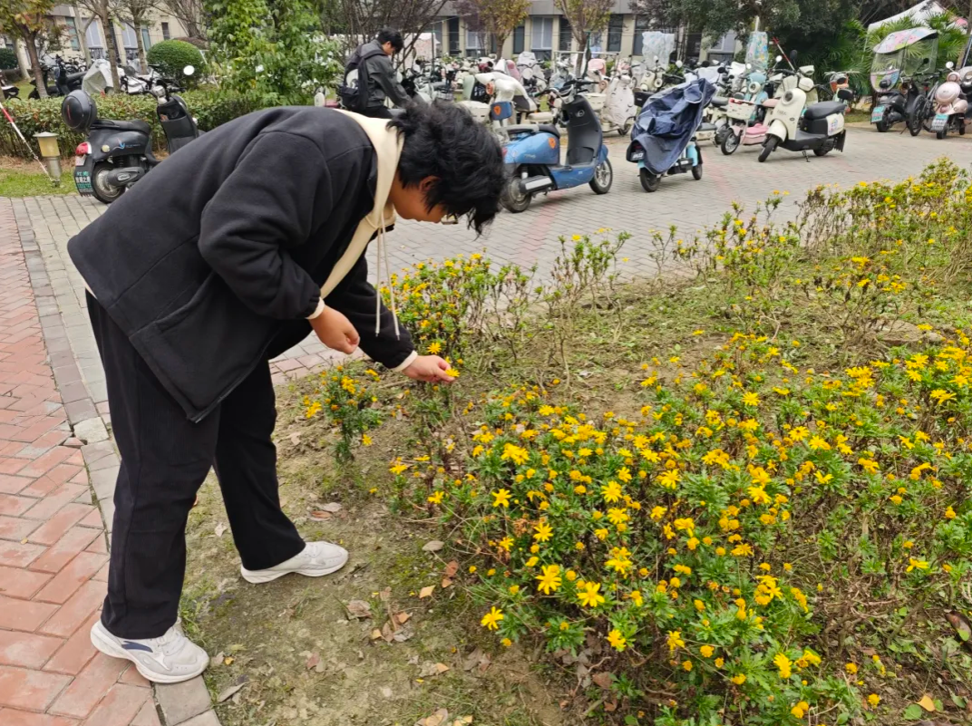 Keeping Autumn Alive - DIY Handicraft Activity-生命科学与技术学院英文网